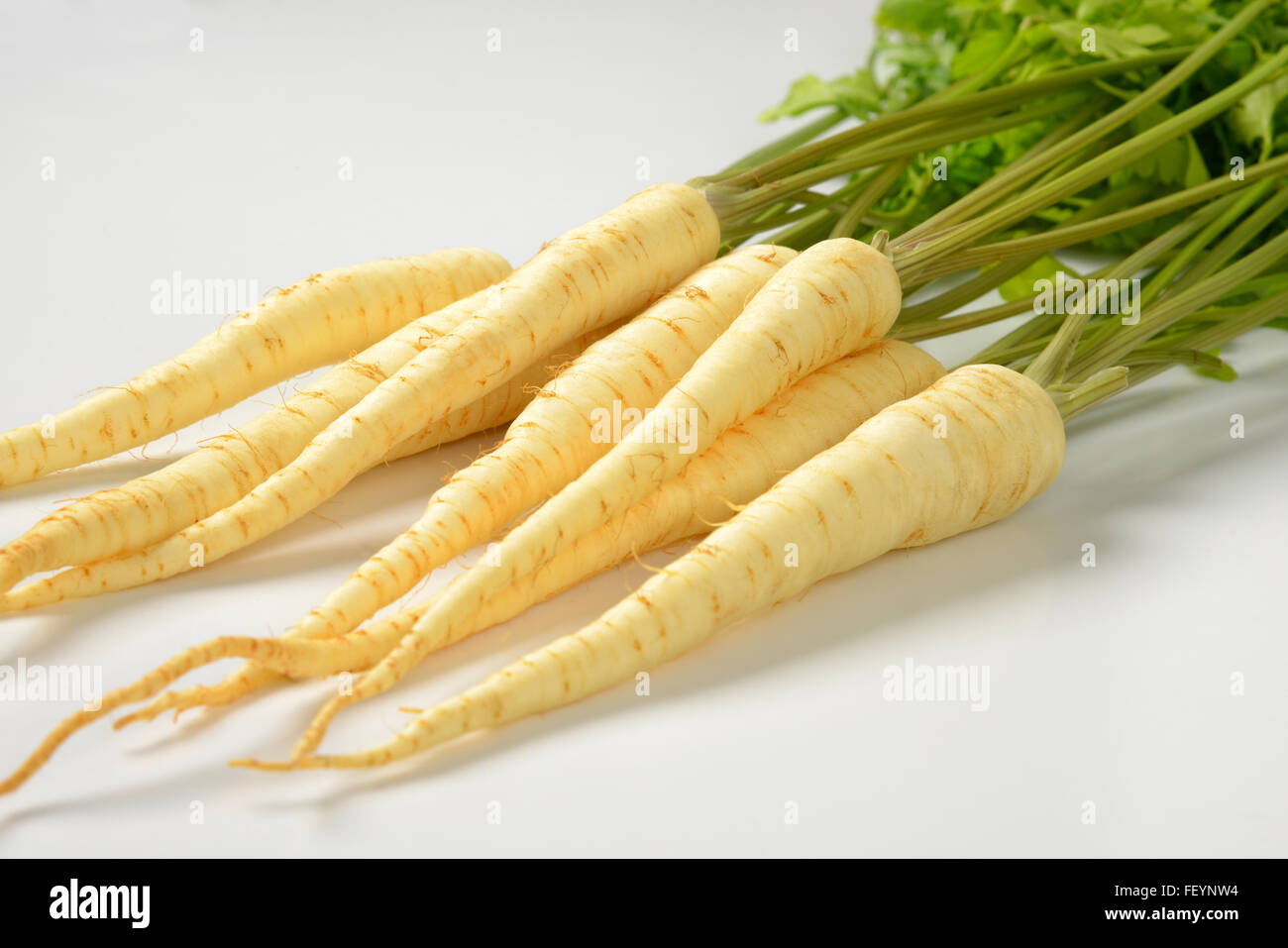 close up of parsley roots bunch on white background Stock Photo - Alamy