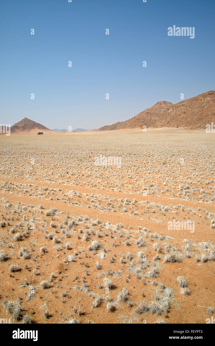 Remote desert area hi-res stock photography and images - Alamy