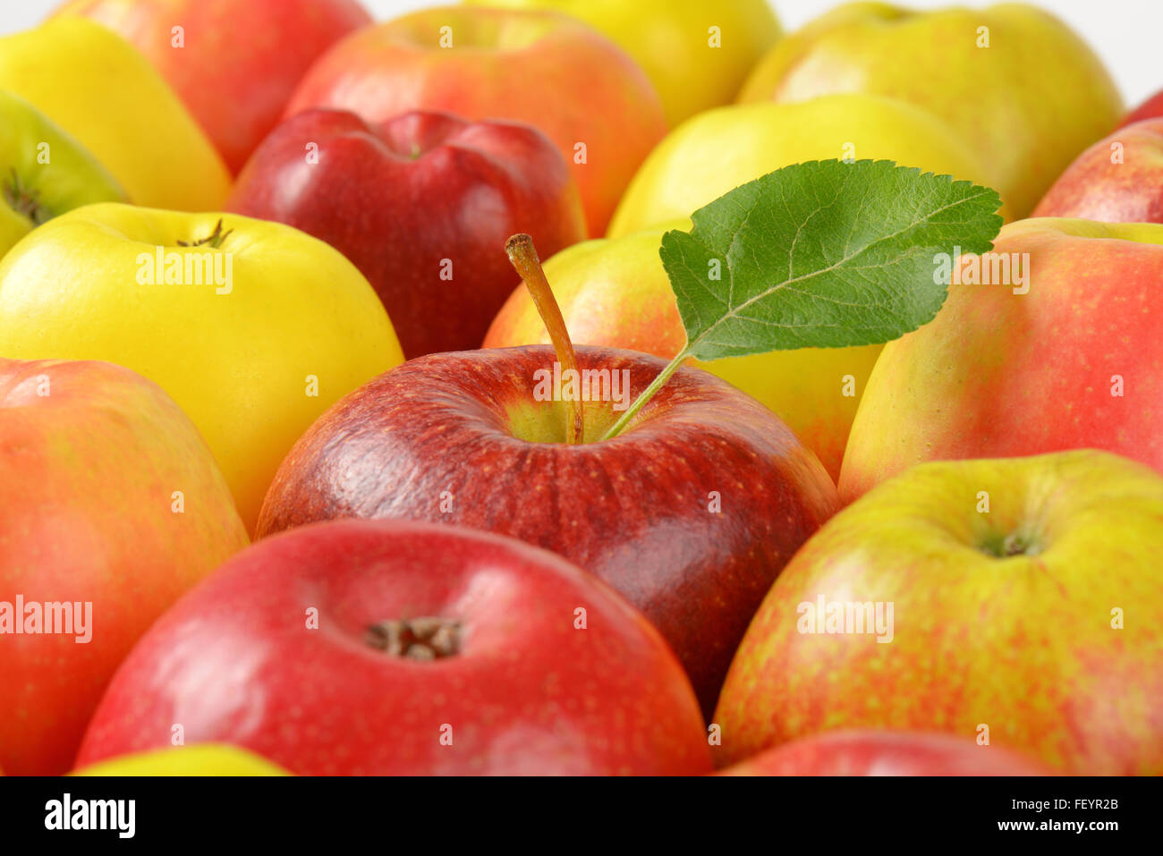 detail of red and yellow apples side by side Stock Photo - Alamy