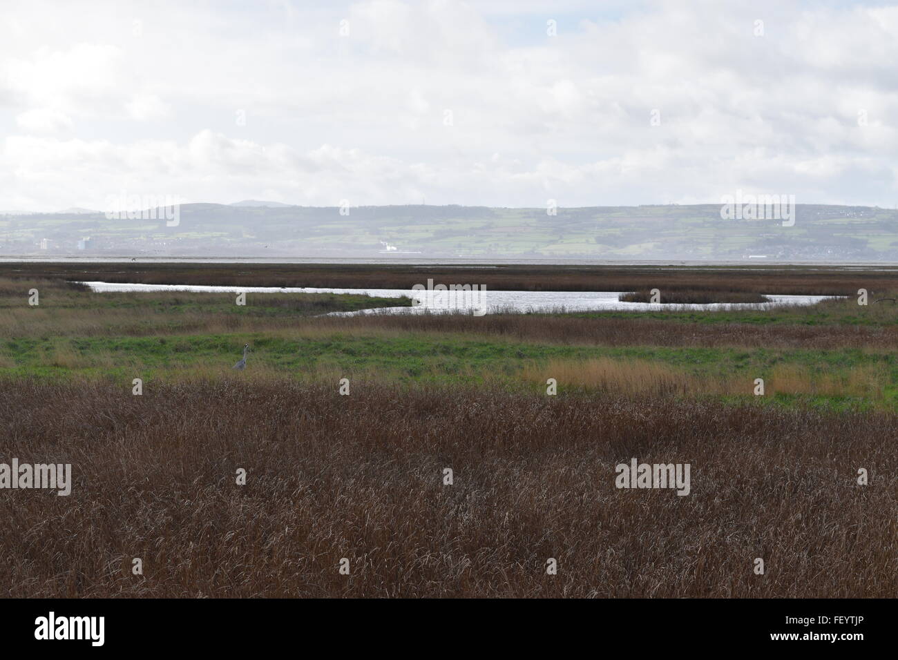 Looking across the marshes hi-res stock photography and images - Alamy