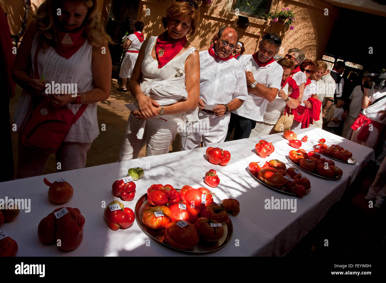 Concurso tomate feo, ugly tomato competition. Tudela. Navarre. Spain ...