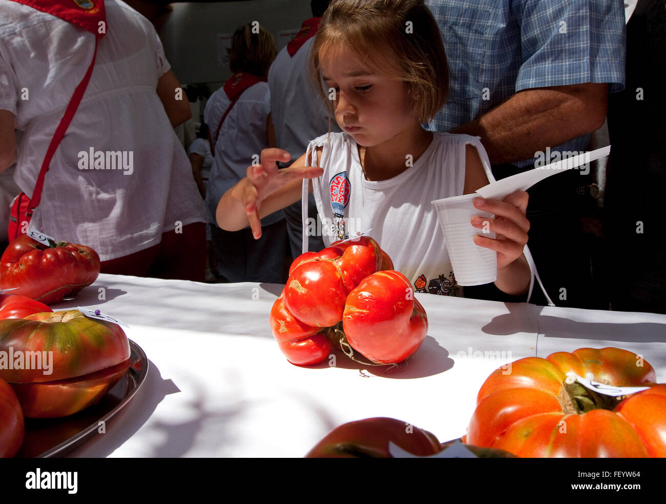 Concurso tomate feo, ugly tomato competition. Tudela. Navarre. Spain ...