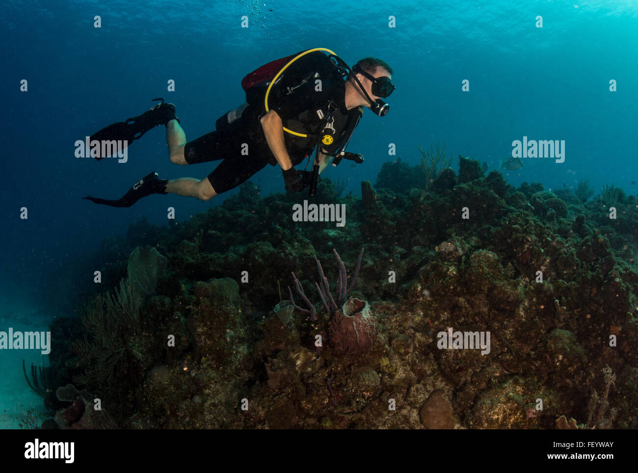 Capt. David Culpepper, Commanding Officer, Naval Station Guantanamo Bay ...