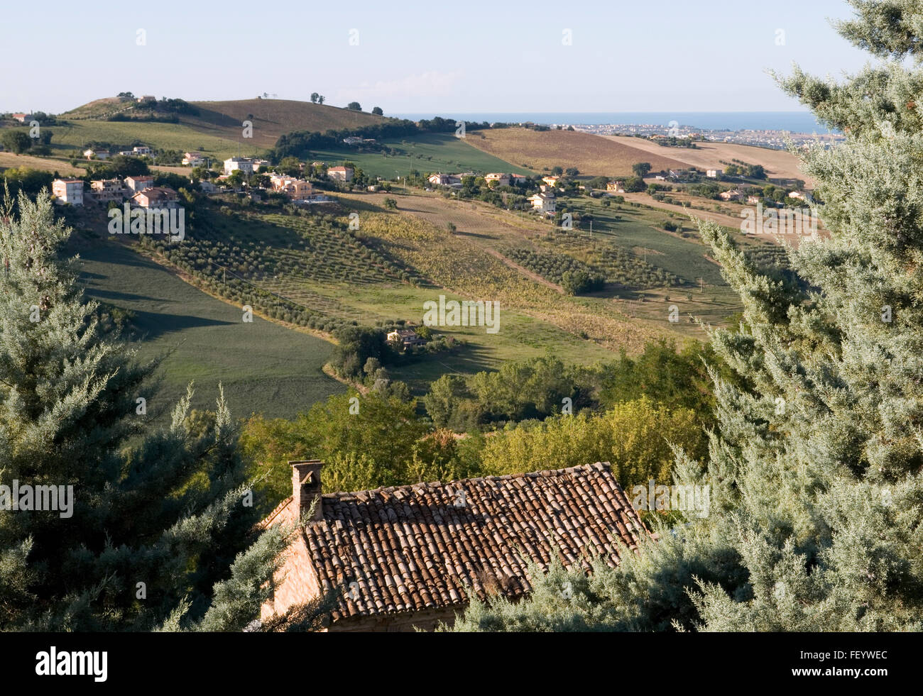 the countryside near Fermo, Marche region, Italy Stock Photo - Alamy