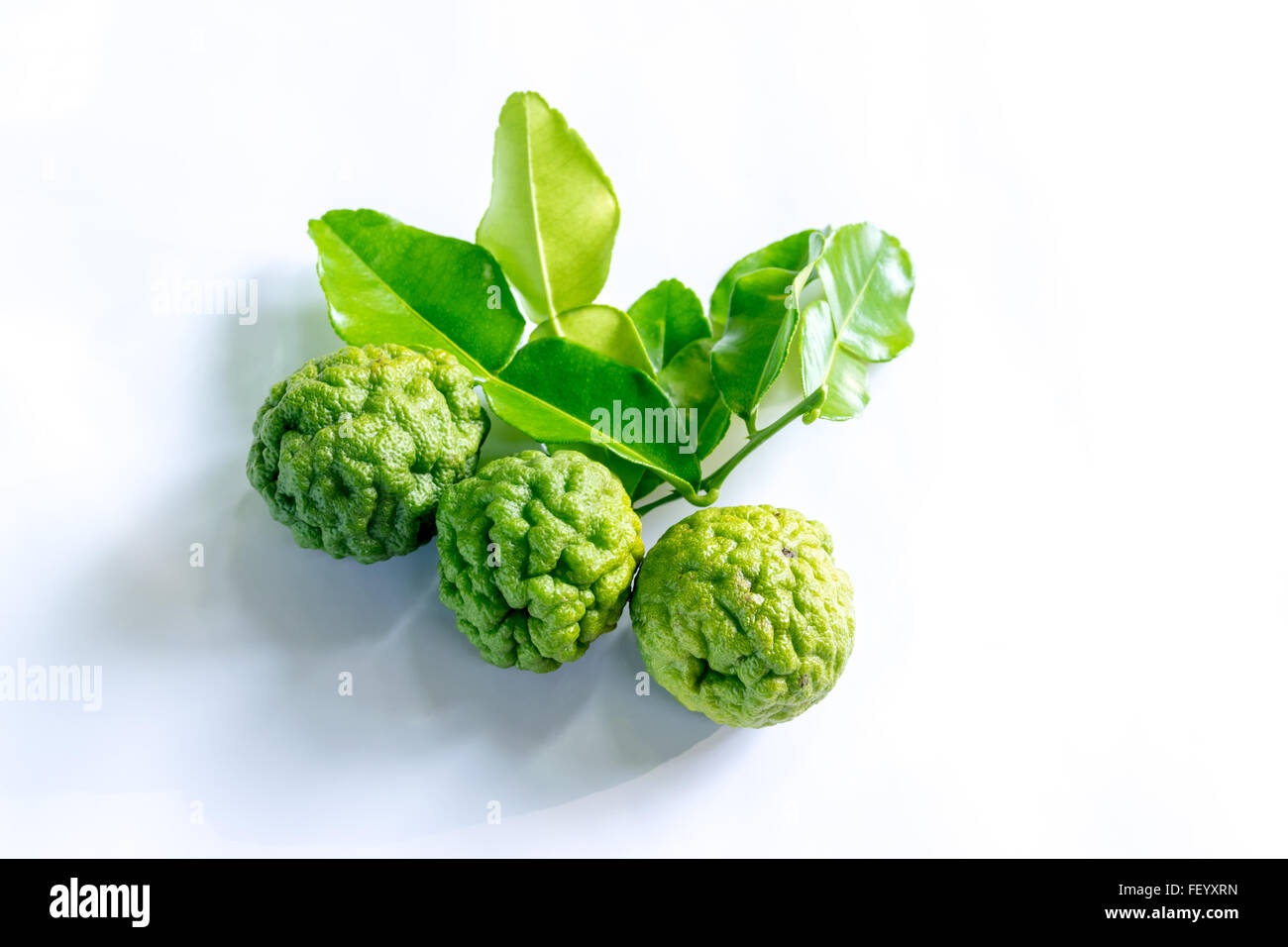 Kaffir lime leaves isolated on white background Stock Photo - Alamy