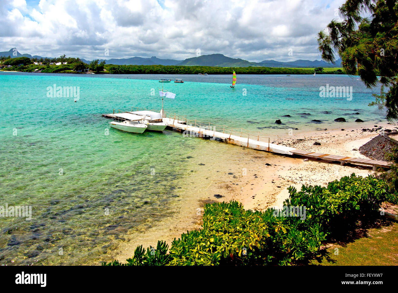 beach seaweed in indian ocean madagascar people sand isle sky and rock ...
