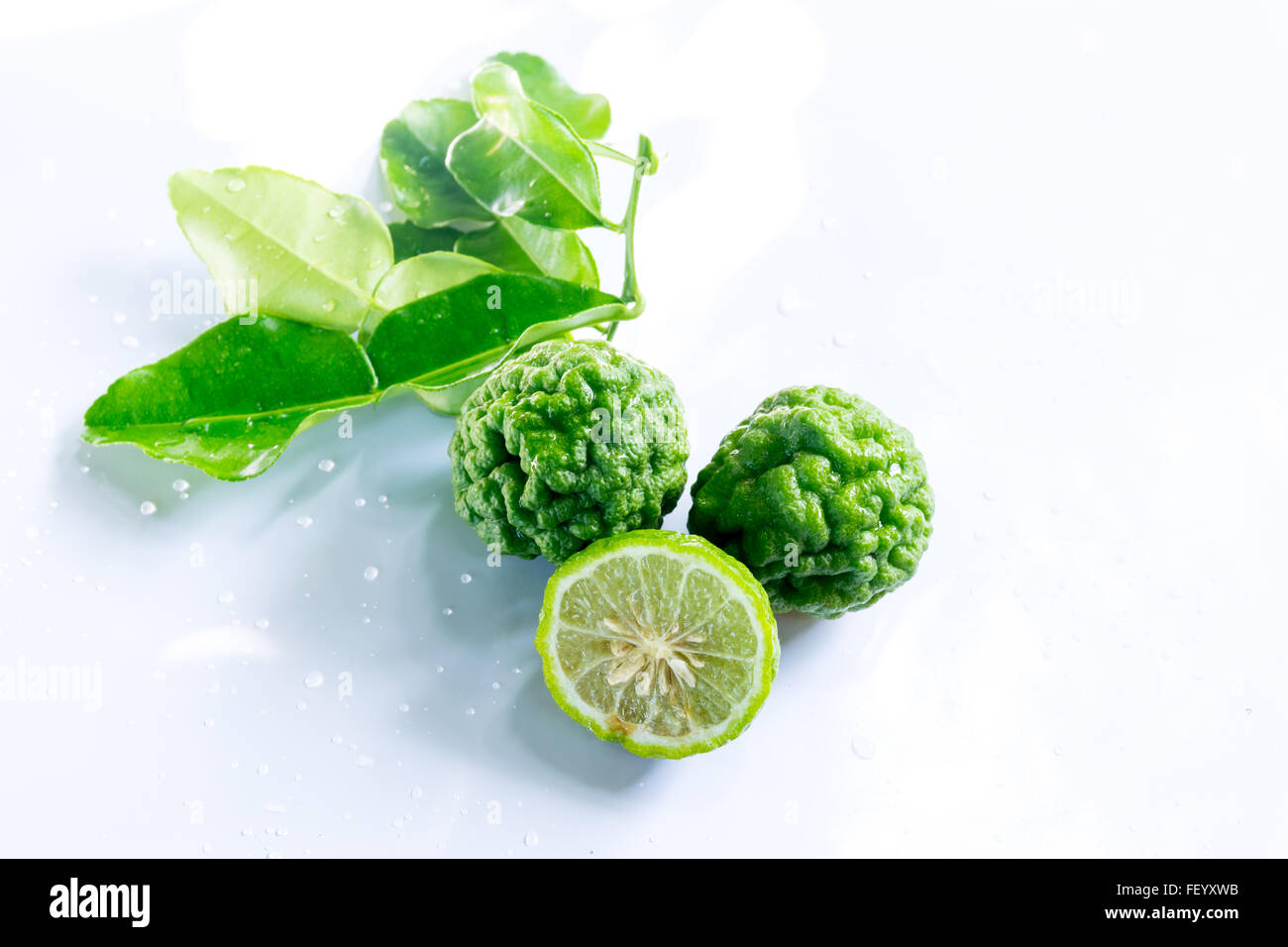 Kaffir lime leaves isolated on white background Stock Photo - Alamy