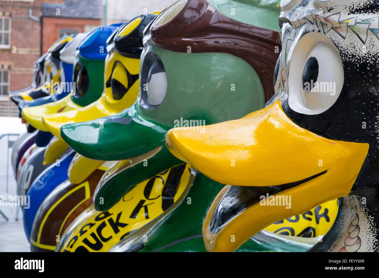 Giant ducks on Liverpool duck trail Stock Photo - Alamy