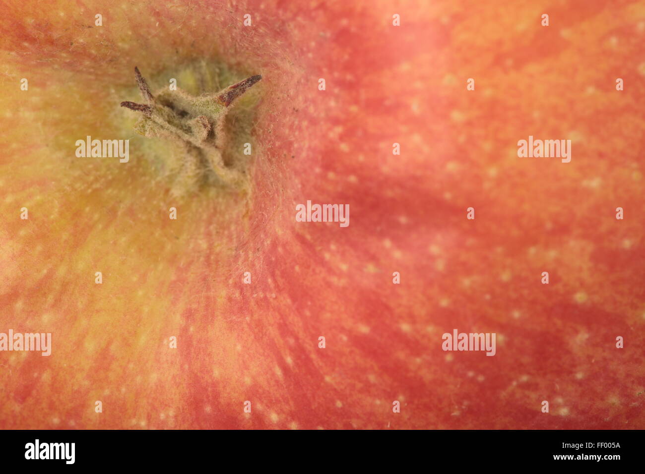 Detail of an apple Stock Photo - Alamy