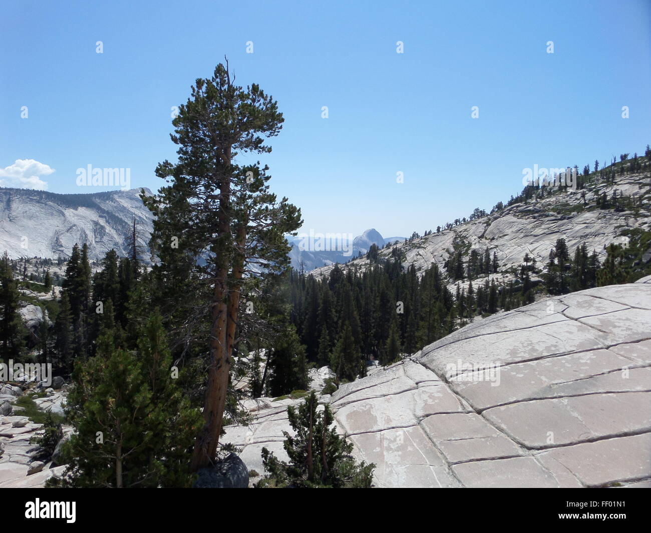 The cracks in a granite face of a mountain in Yosemite Stock Photo - Alamy