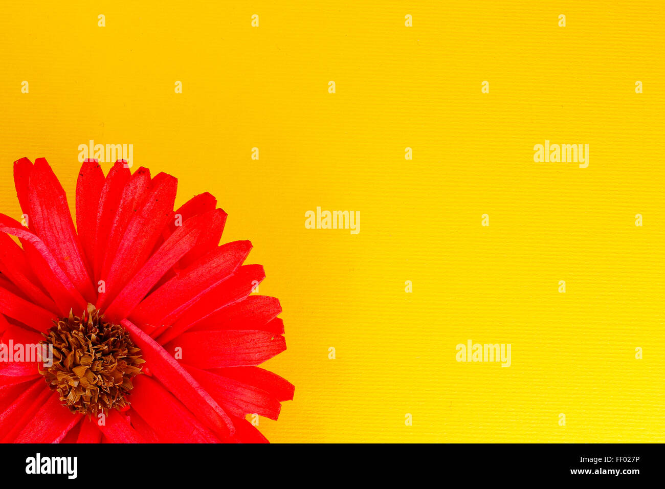 Red flower on yellow background Stock Photo - Alamy