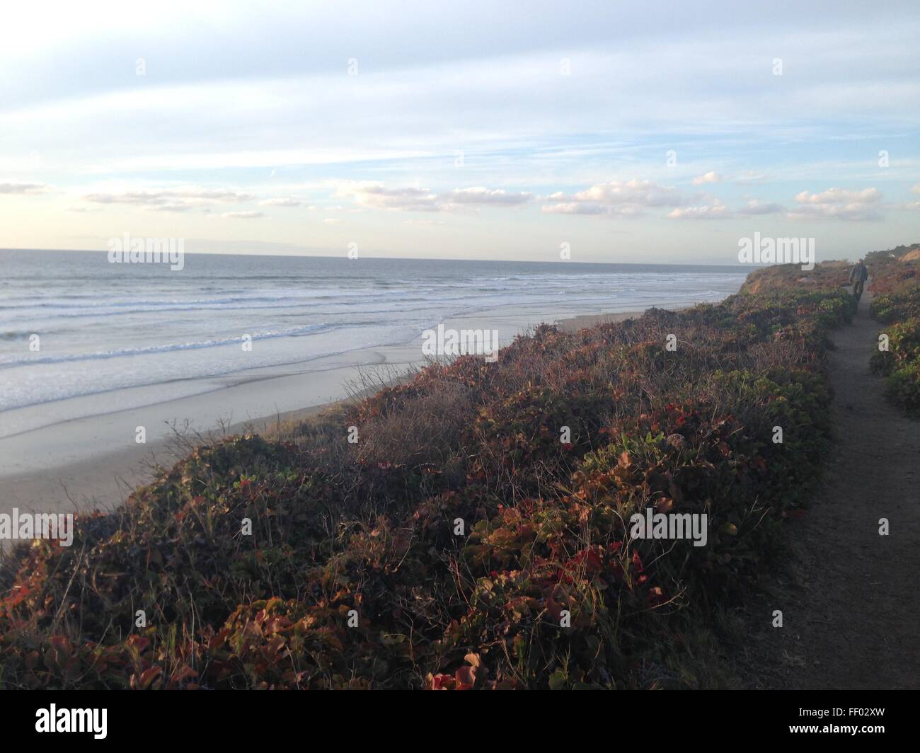 Train Track running trail above Del mar beach Stock Photo - Alamy