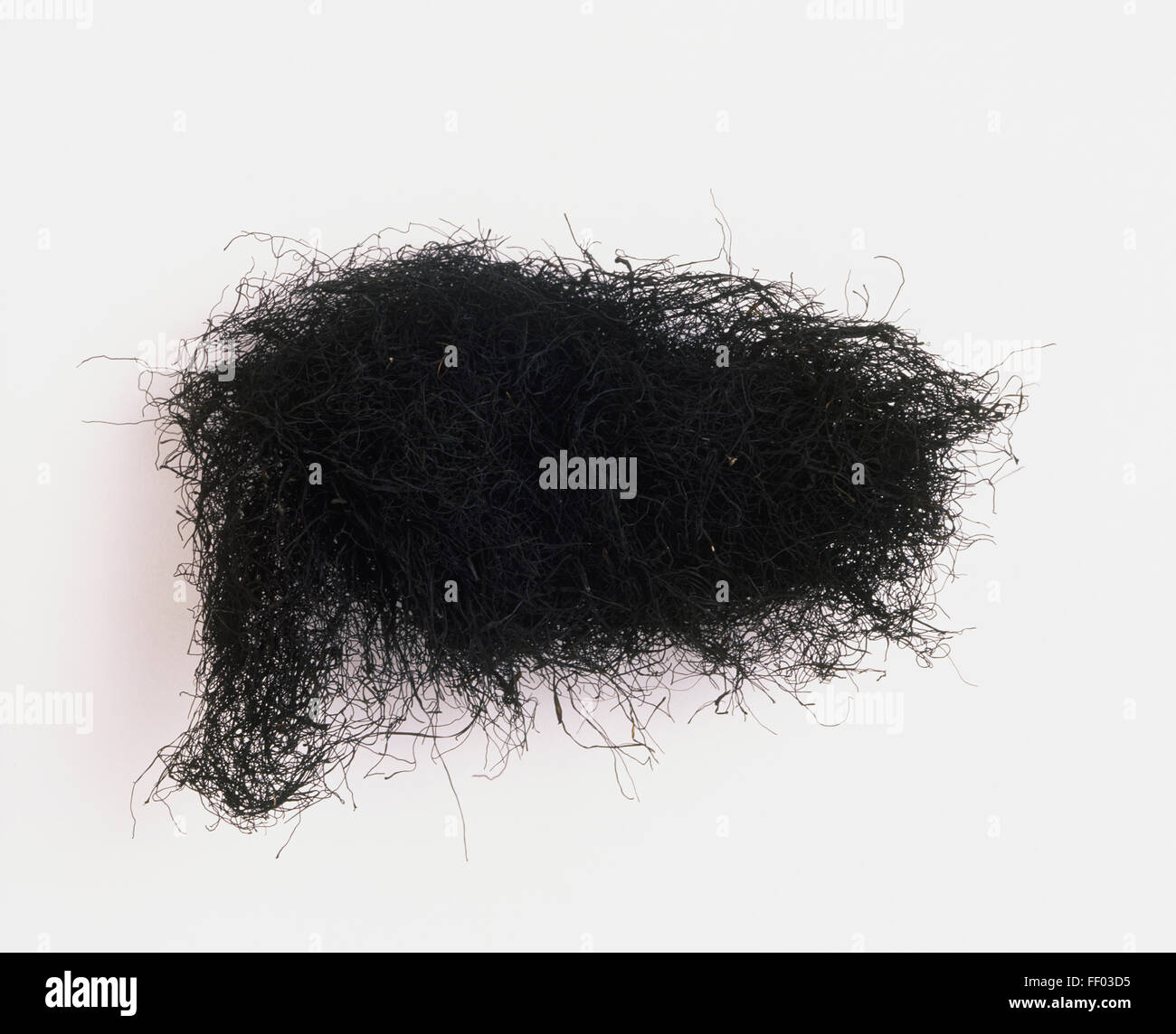 Fat Choy Stock Photos & Fat Choy Stock Images - Alamy