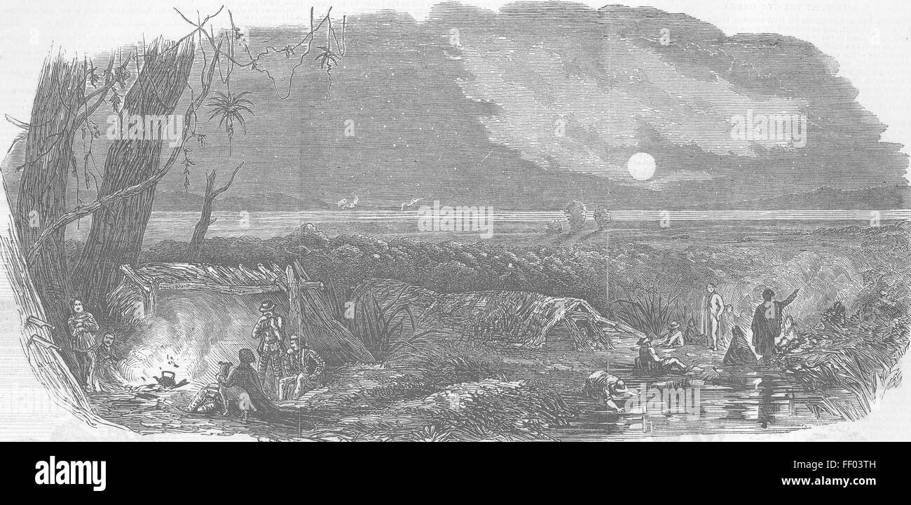 NEW ZEALAND of New Zealand-Bivouack of Surveyors 1850. Illustrated ...