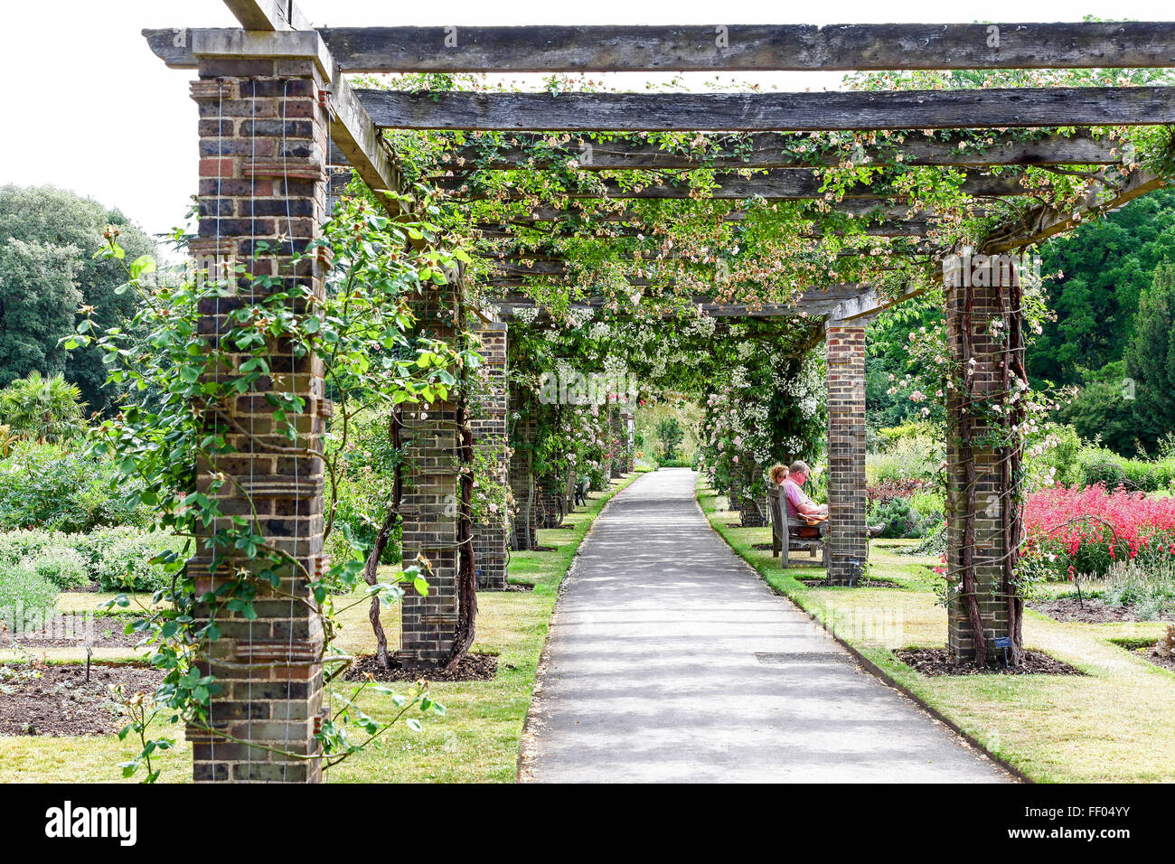 Rose arbour hi-res stock photography and images - Alamy