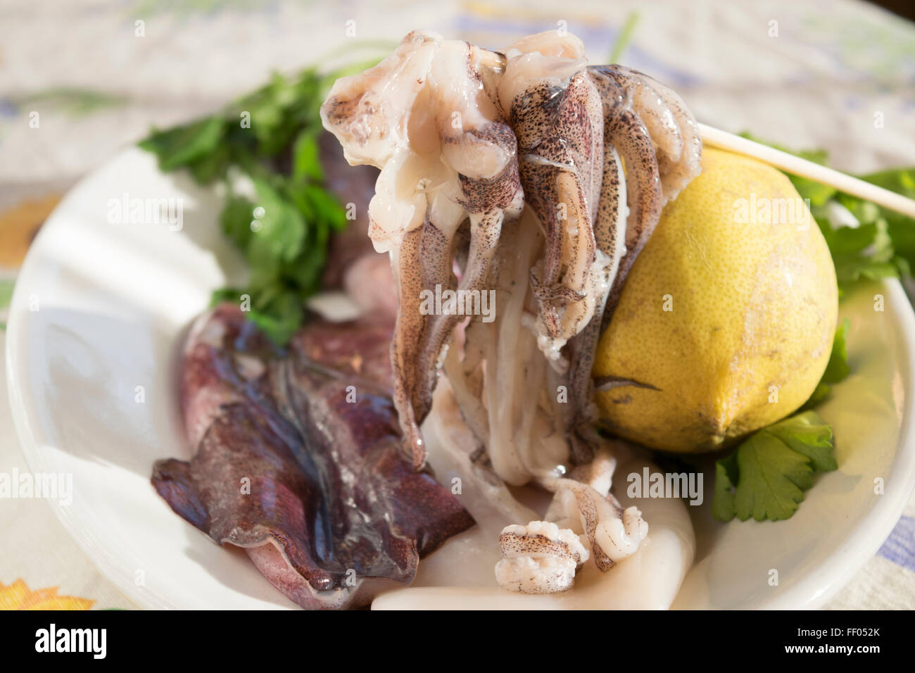 Calamari tentacle hi-res stock photography and images - Alamy
