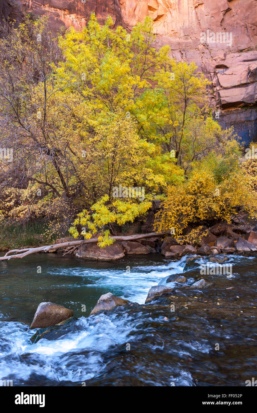 Small rapids on the Virgin River Stock Photo - Alamy