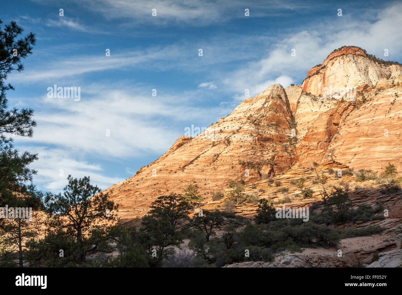 Checkerboard landscape hi-res stock photography and images - Alamy