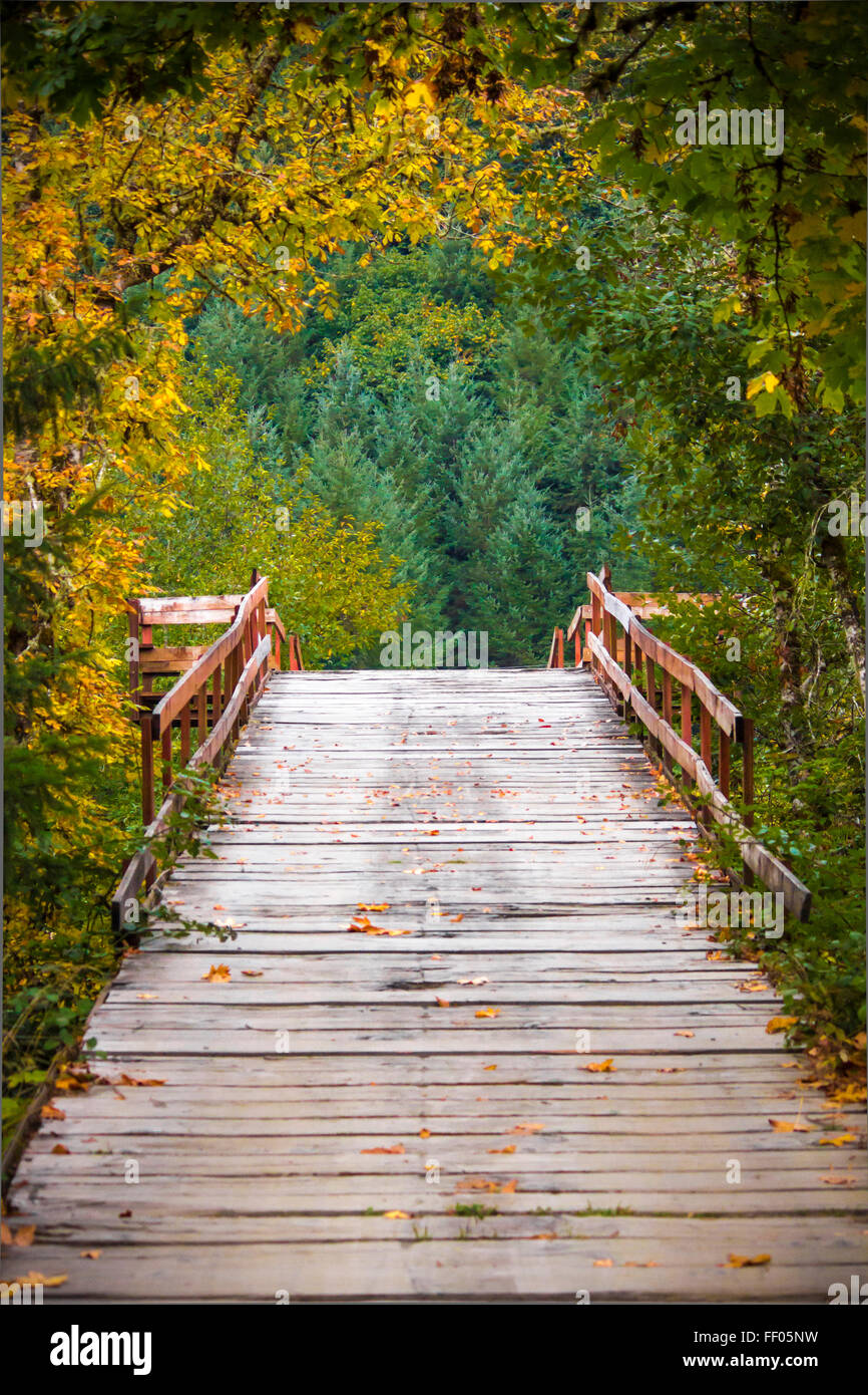 An artsy color photo of an old wood bridge with wooden rails in a fall ...