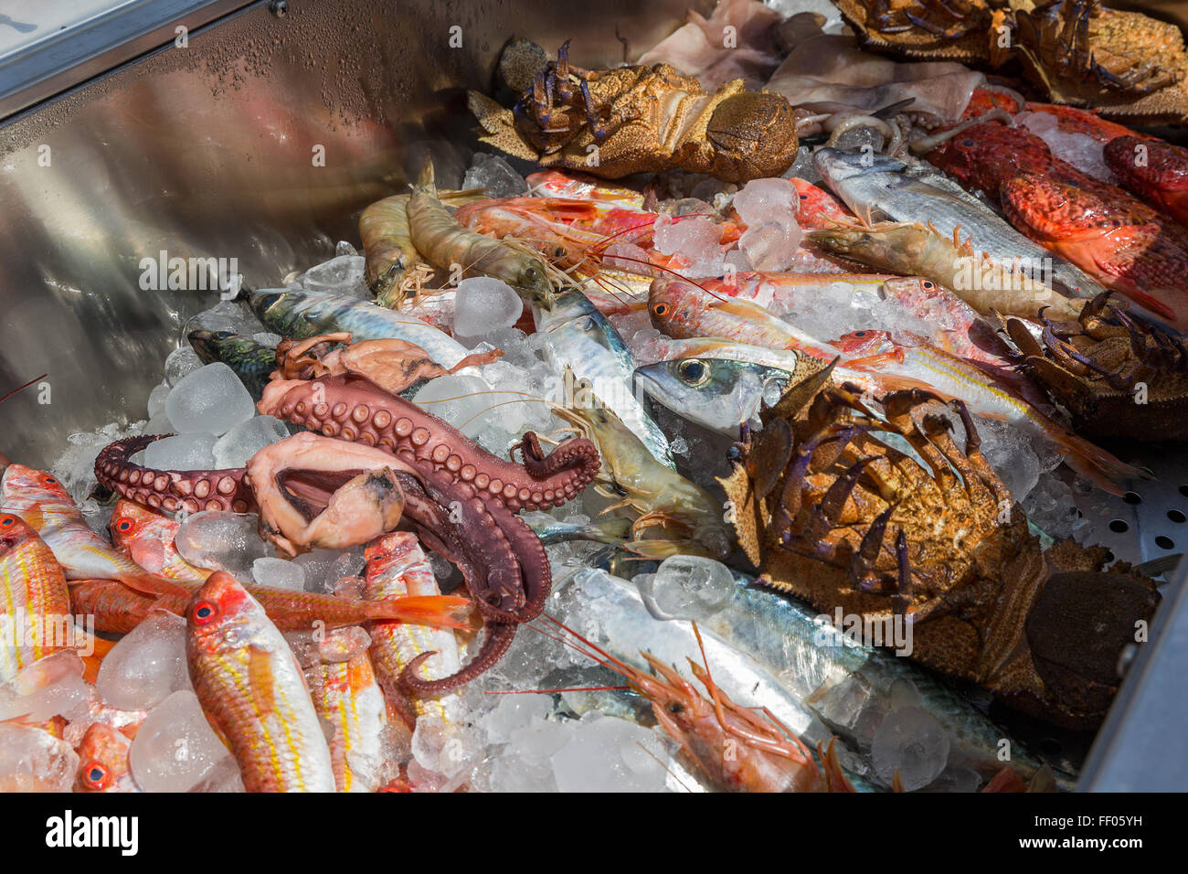 Freshness great hi-res stock photography and images - Alamy