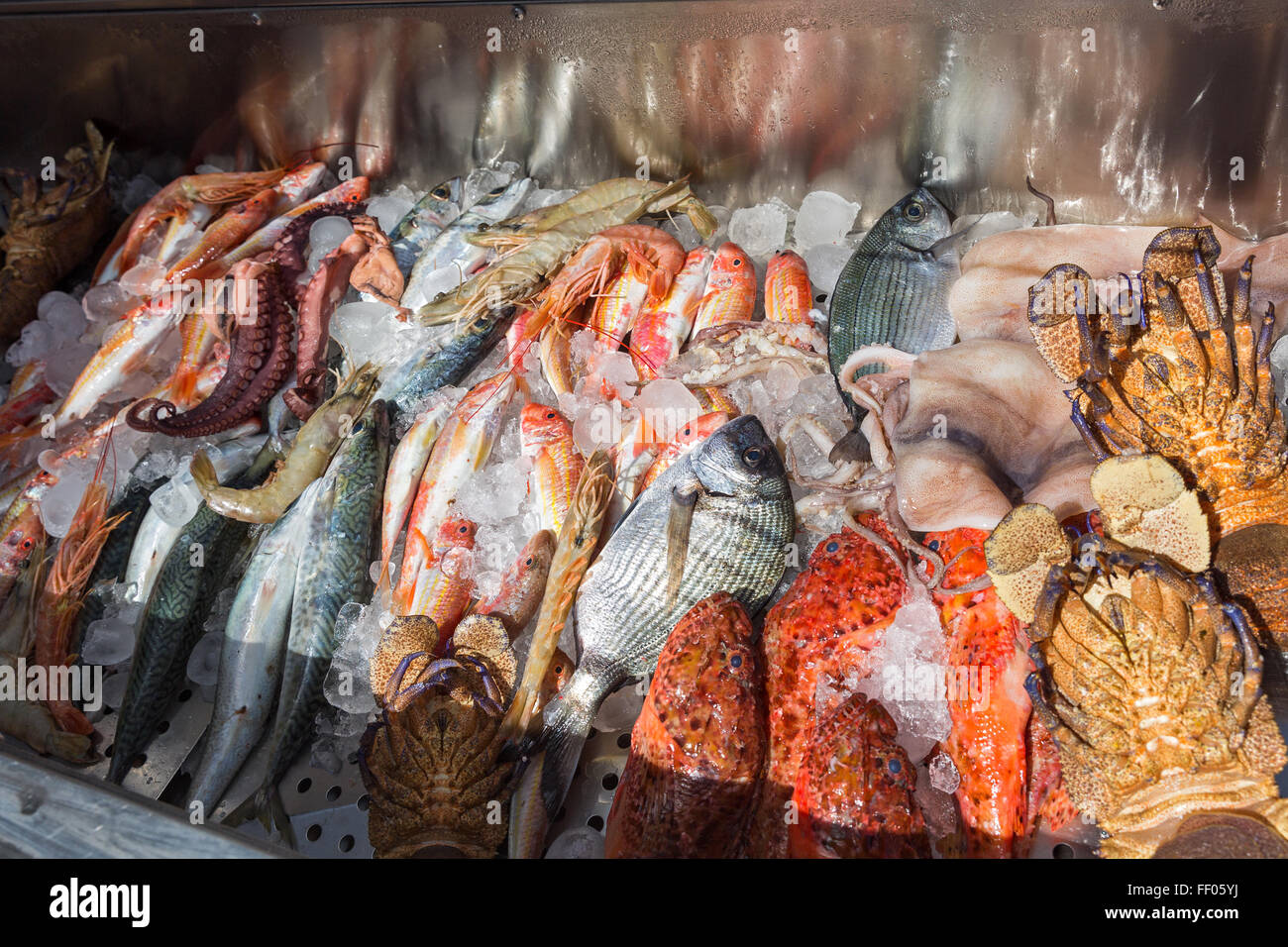 Frozen seafood selection hi-res stock photography and images - Alamy