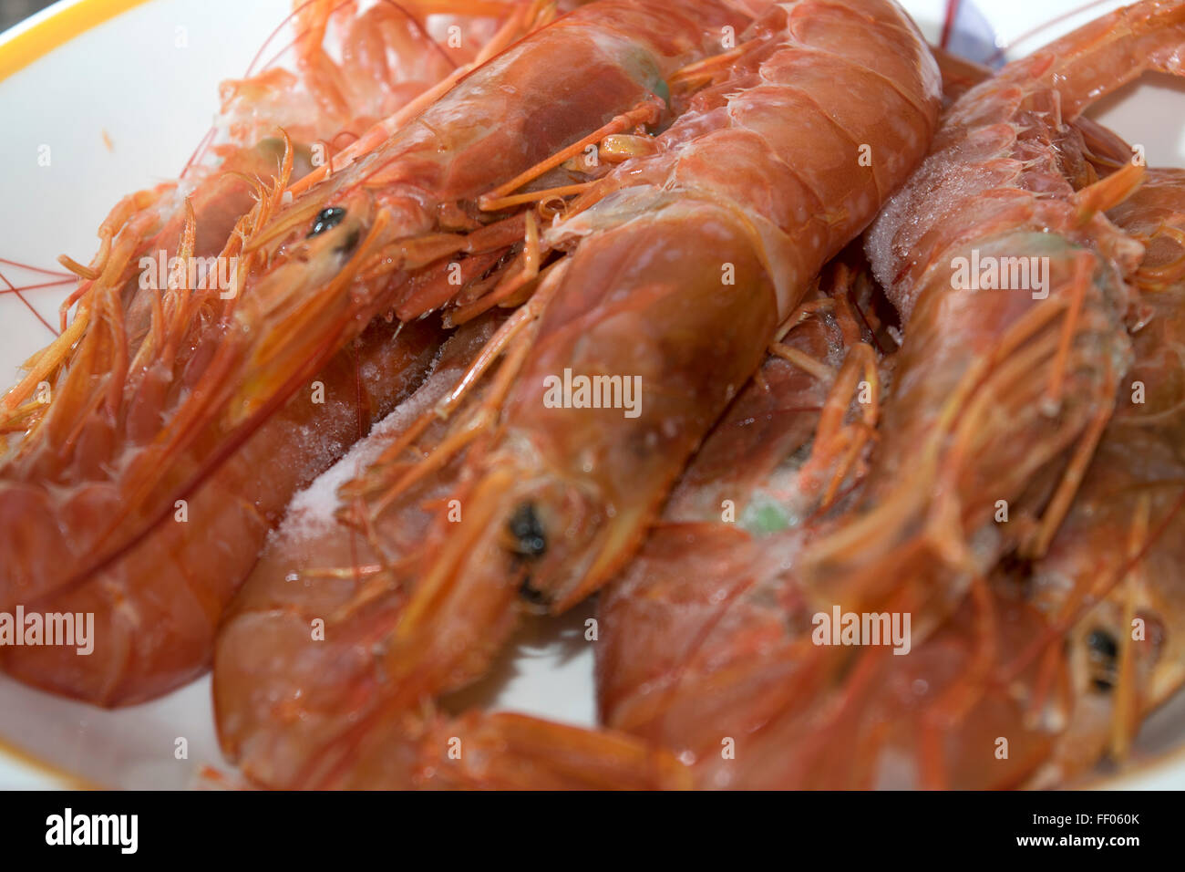 Red sea king prawns hi-res stock photography and images - Alamy