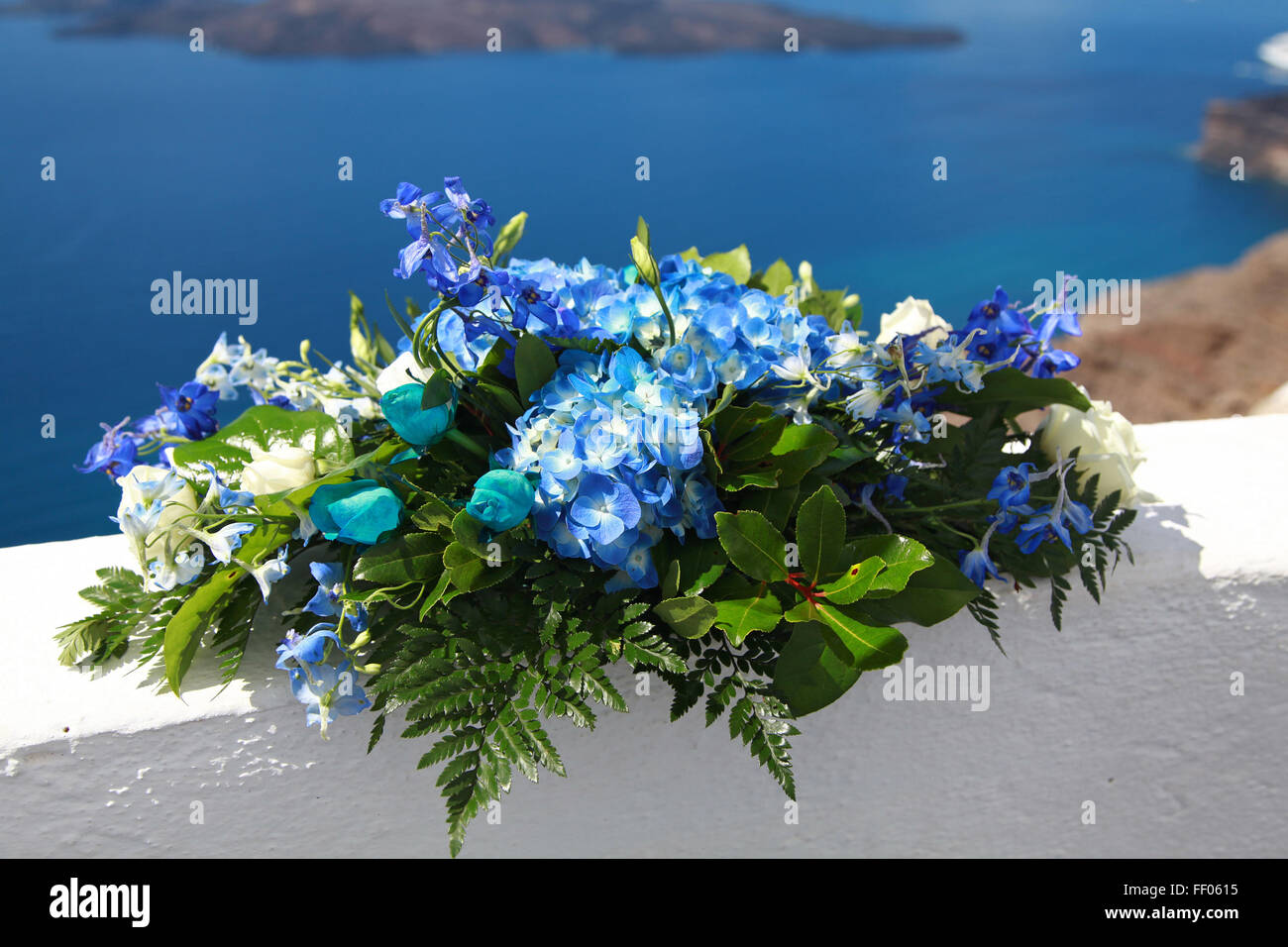 Bouquet of blue flowers on a white wall. Greece, Santorini Stock Photo ...
