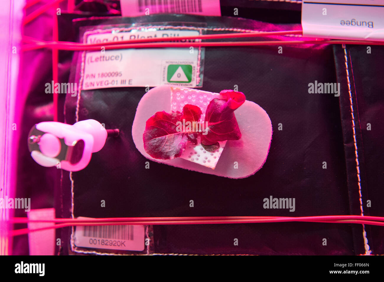 NASA’s VEGGIE hardware validation test on the International Space ...