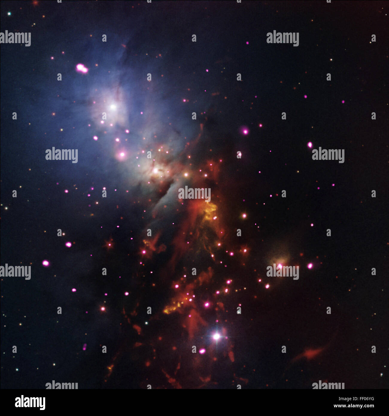 Stellar life cycle hi-res stock photography and images - Alamy