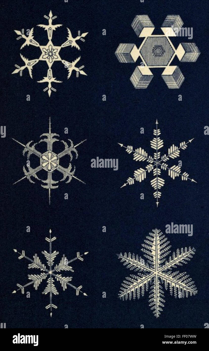 Illustrations depicting the intricate geometric patterns of snowflakes ...