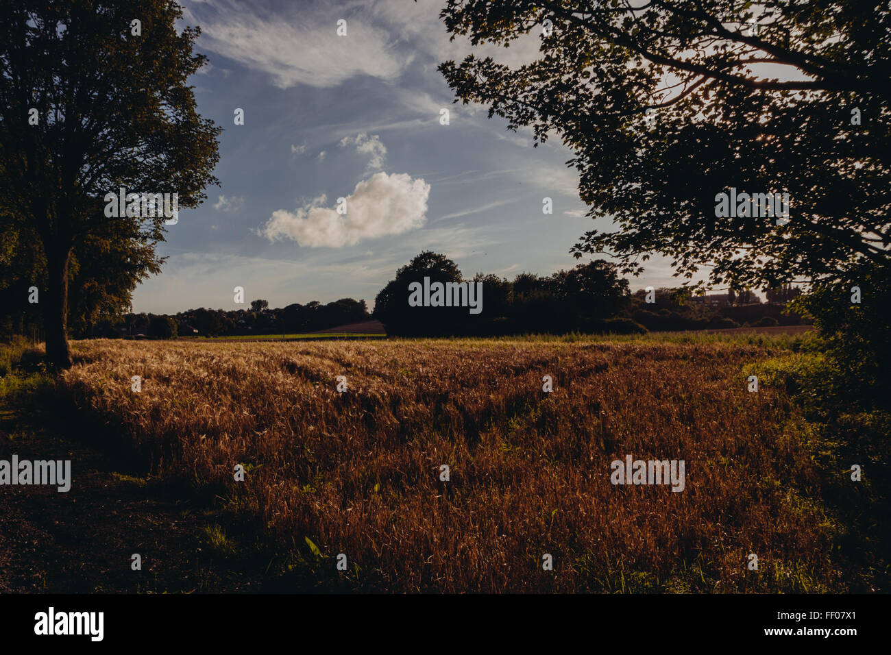 Shaded hi-res stock photography and images - Alamy