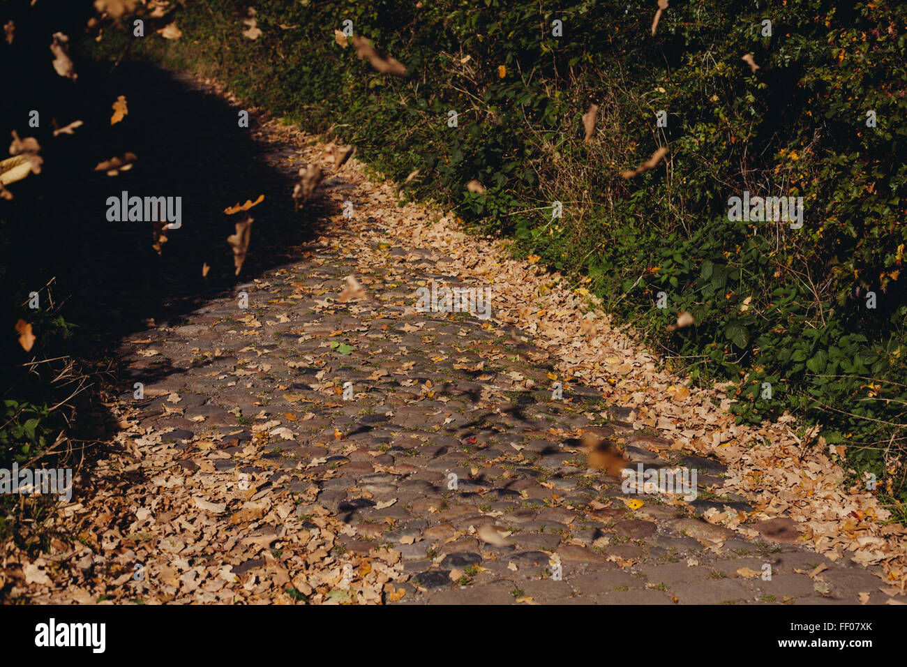 Cobble Path Cobble Path Stock Photo - Alamy