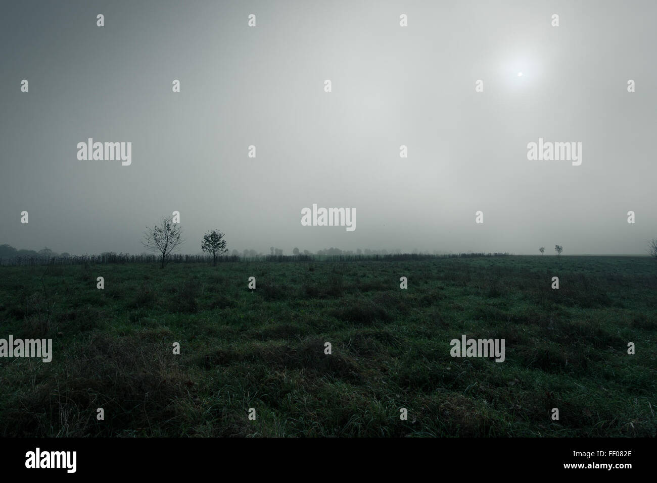 A field stretches beneath a cloudy sky, with fog and haze settling over ...