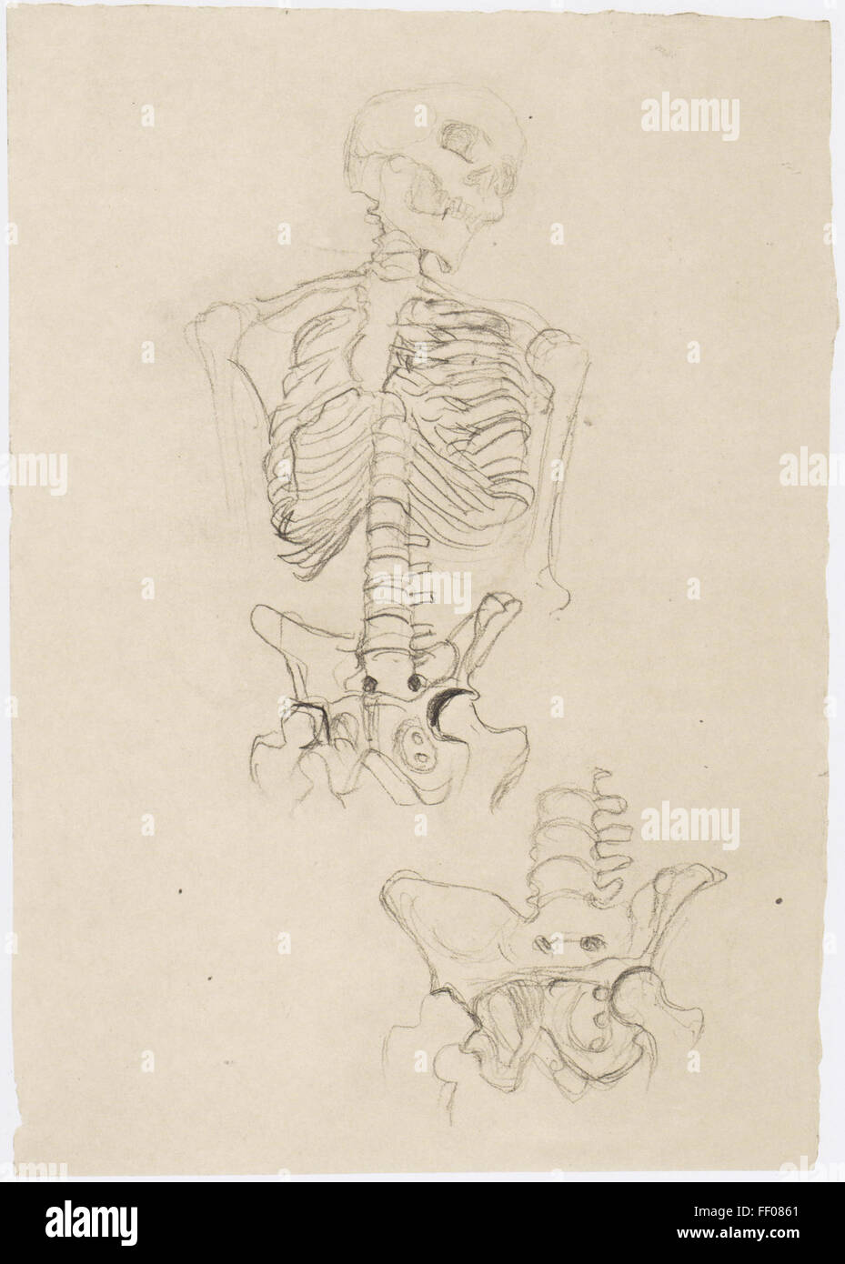 Gustav klimt drawing gustav klimt hi-res stock photography and images ...