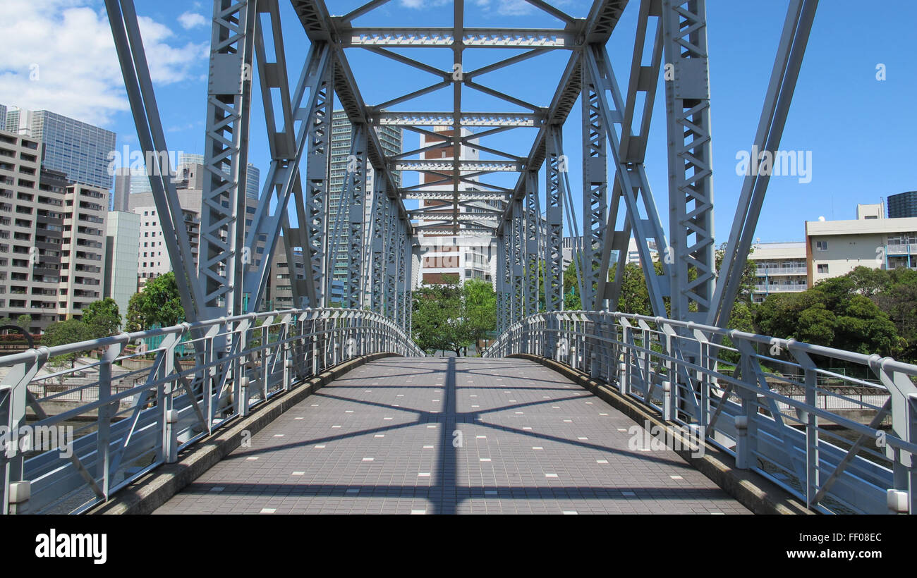 A steel bridge spans across a city river, its geometric structure ...