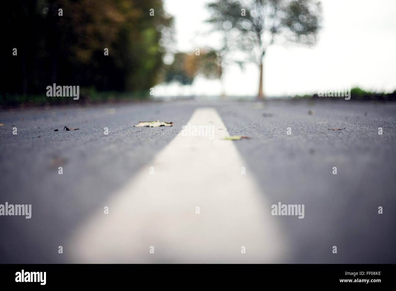 A close-up view of road surface markings, commonly used to guide ...