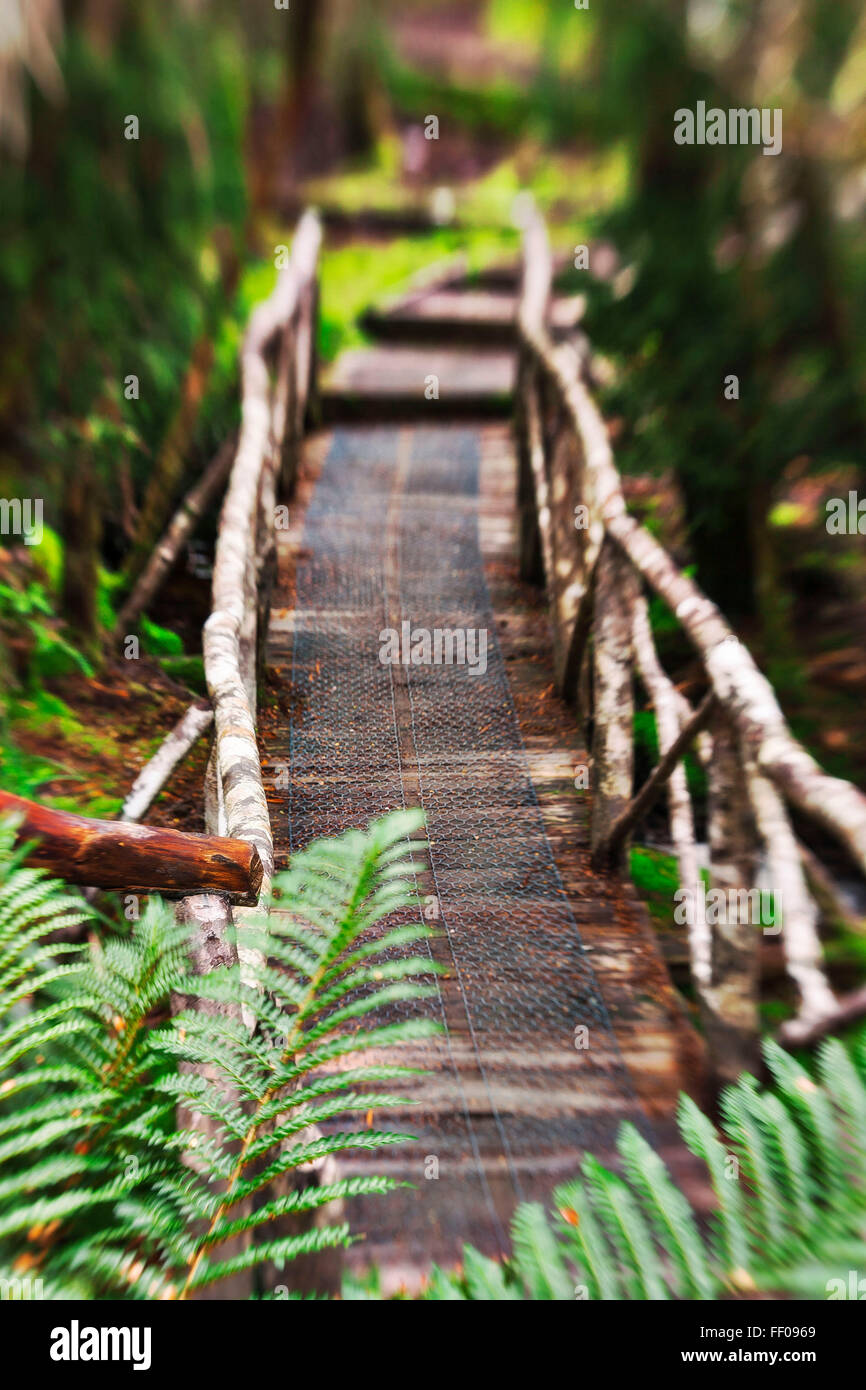 Cradle bridge hi-res stock photography and images - Alamy