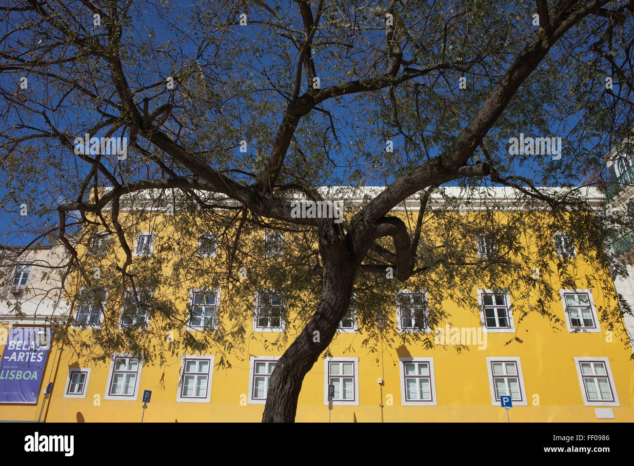 Portugal, city of Lisbon, Belas Artes Lisboa, Faculty of Fine Arts of ...