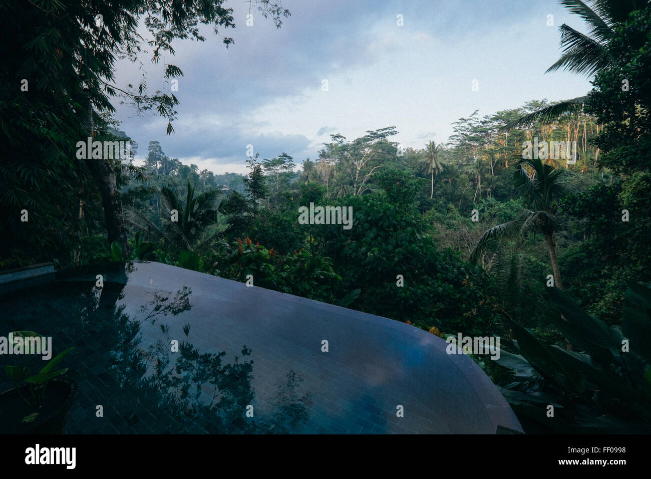 Rain Forest Landscape Rain Forest Landscape Stock Photo - Alamy