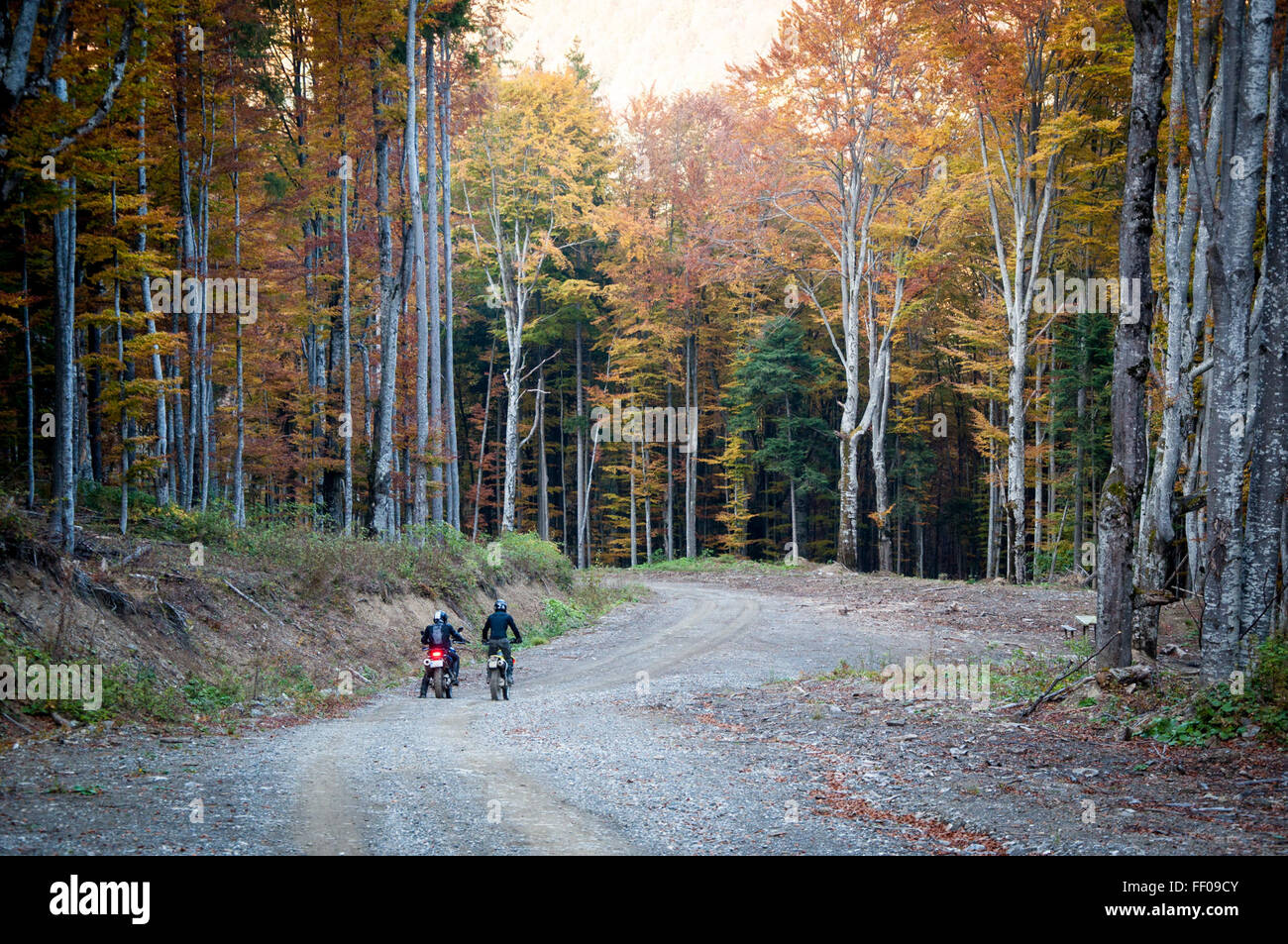 Dirt bike riders navigating a gravel path in a wooded park. The action ...