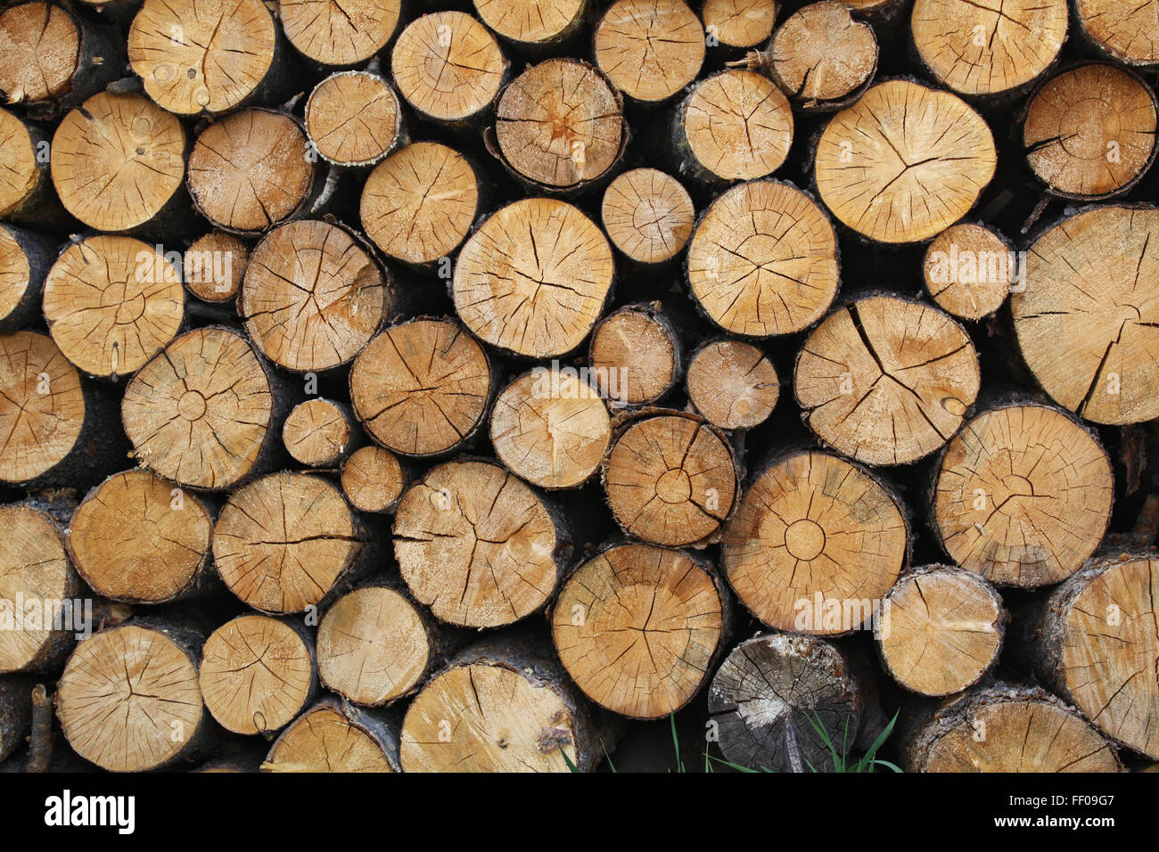 Stacked Logs Background Pattern Stacked Logs Background Pattern Stock ...