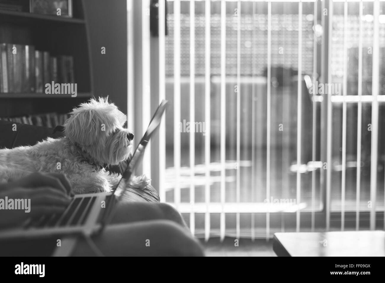 Indoor cozy scene Black and White Stock Photos & Images - Alamy