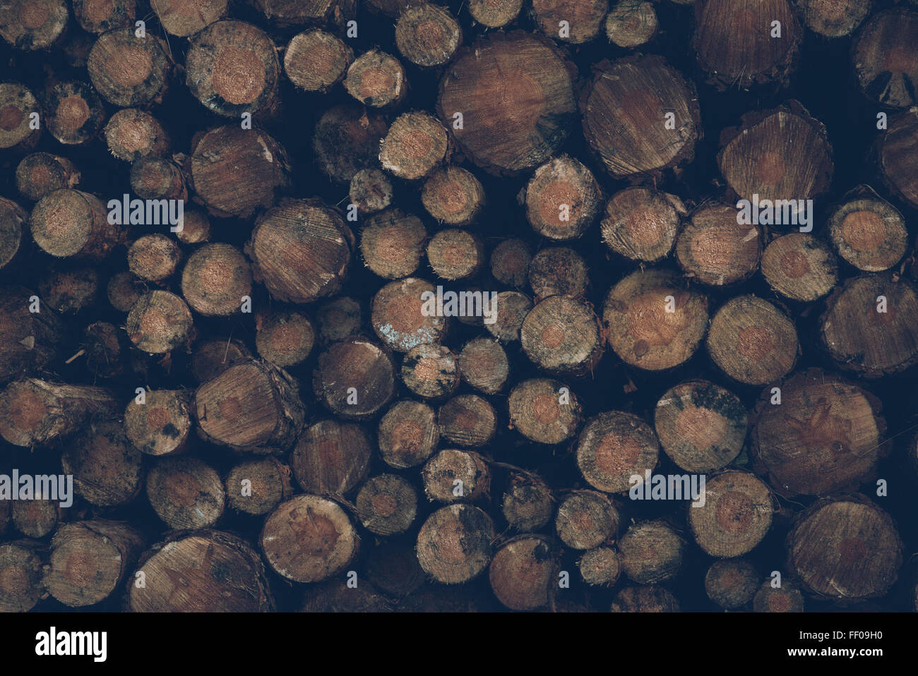 A background of stacked wood logs, showcasing the texture and natural ...