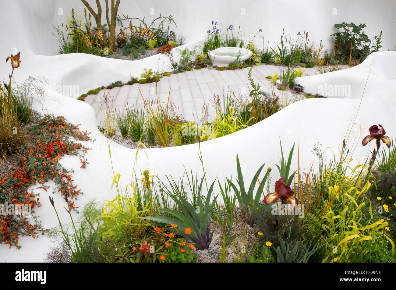 Chelsea flower show 2015 london UK Stock Photo - Alamy
