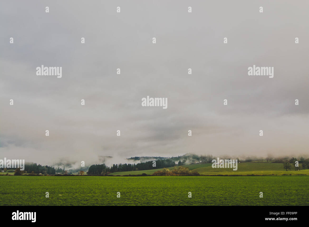 Green Grass on Open Landscape Green Grass on Open Landscape Stock Photo ...