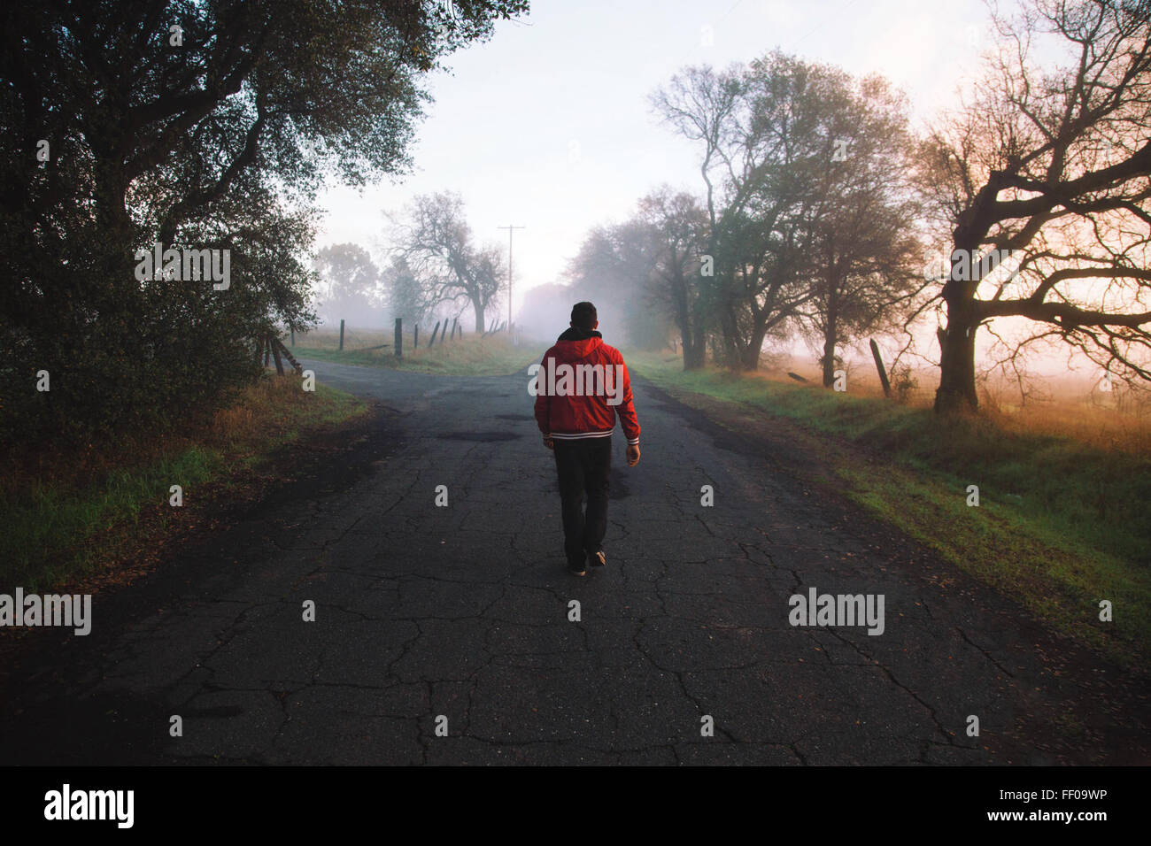 A person in a red jacket walks along a misty road, surrounded by dense ...