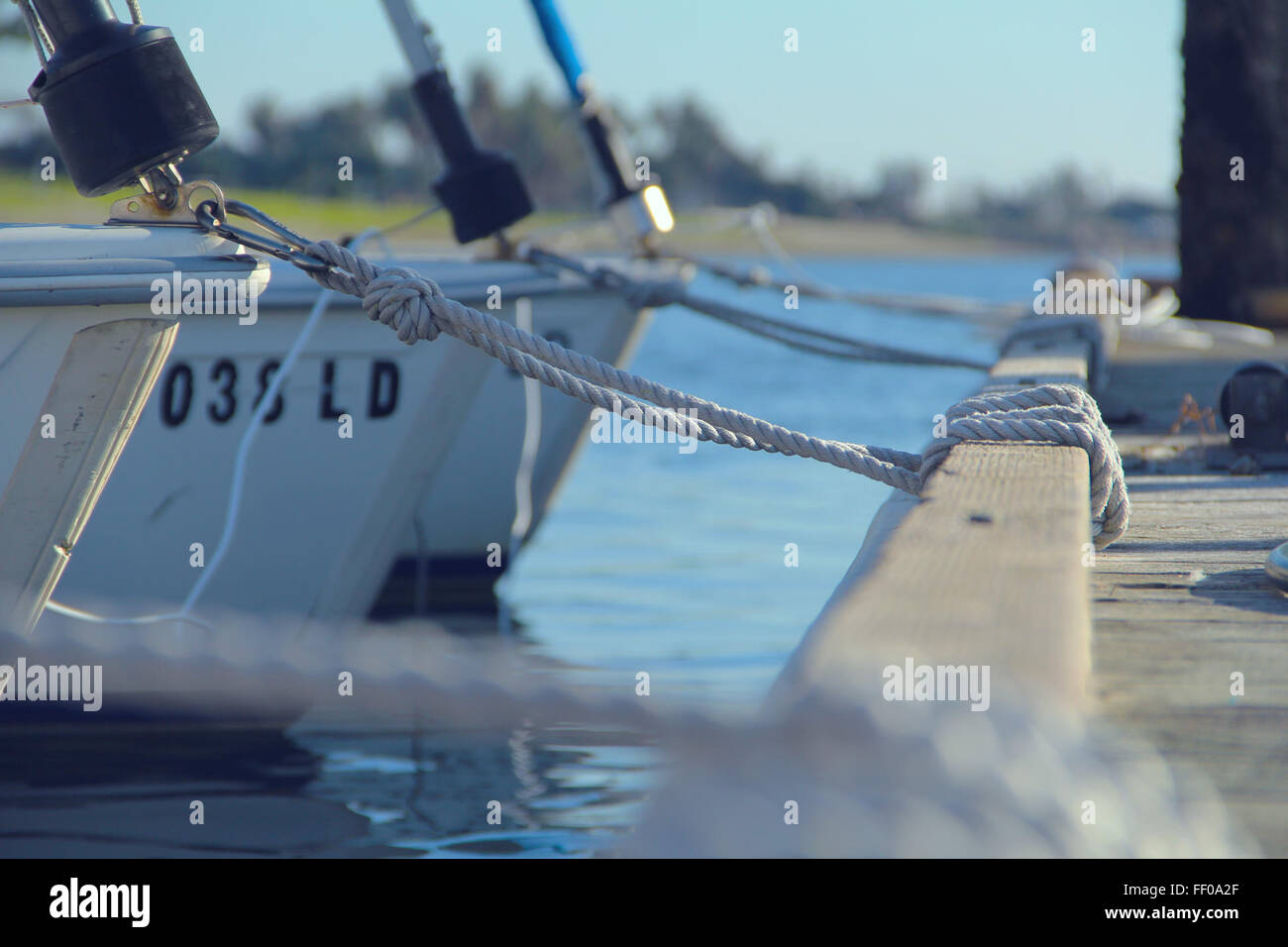 A row of boats secured with mooring lines at a dock. The vessels are ...