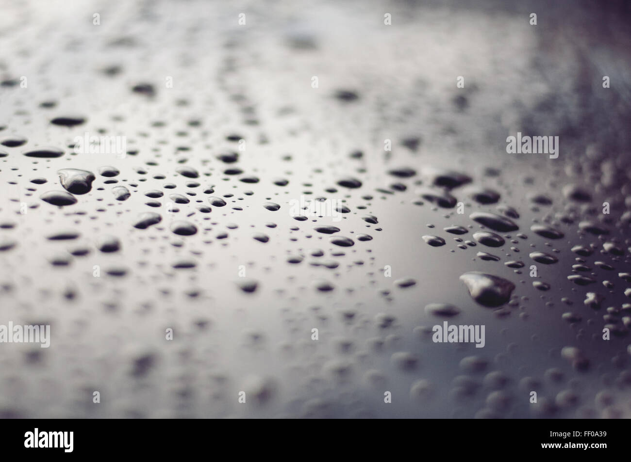 A close-up of water droplets on a surface, creating an intricate ...