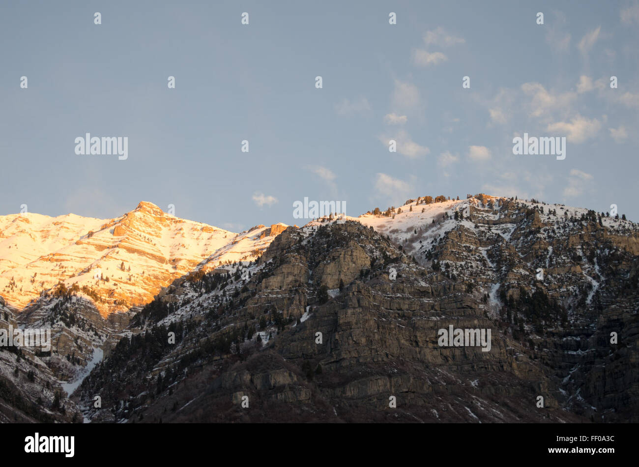 Dotted with trees hi-res stock photography and images - Alamy