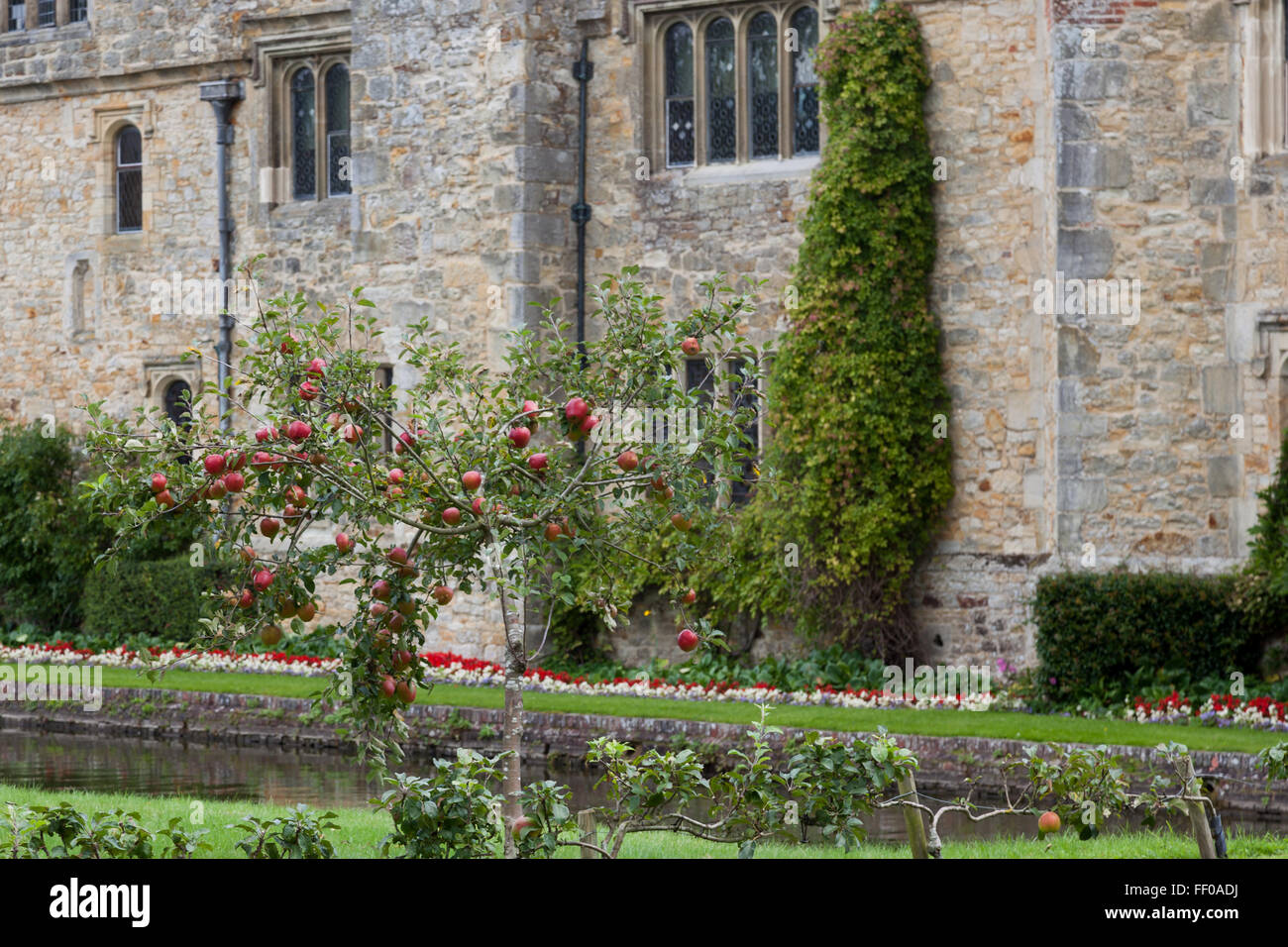 Apple tree house kent hi-res stock photography and images - Alamy